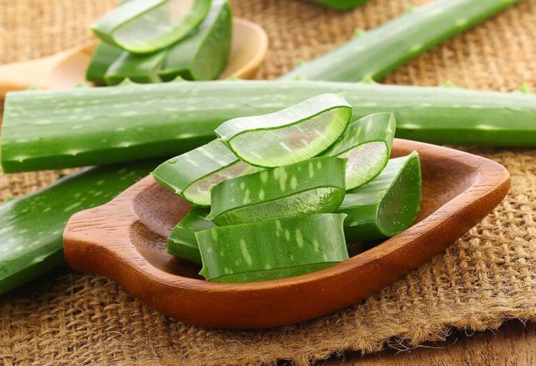 Babosa: 10 Benefícios Principais e Como Usar - Agirmelhor